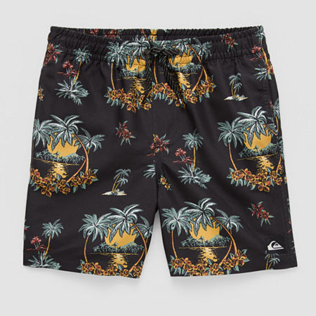 Click here for Quiksilver Big Boys Everyday Scenic Swim Trunks  S... prices