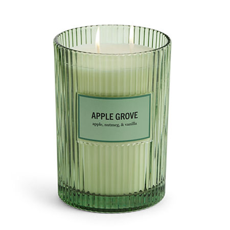 Click here for Martha Stewart 19oz Apple Grove 2-Wick Scented Jar... prices