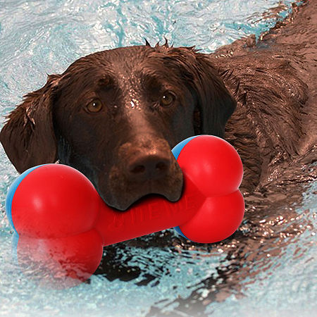 Click here for Pet Life Bone Shaped Durable Chew and Fetch Teethe... prices