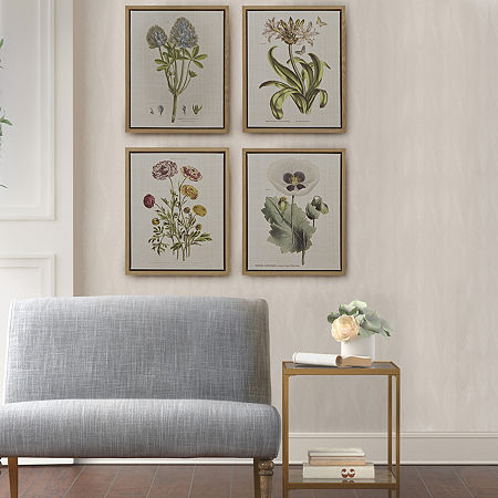 Click here for Madison Park Herbal Botany Botanical Illustration... prices
