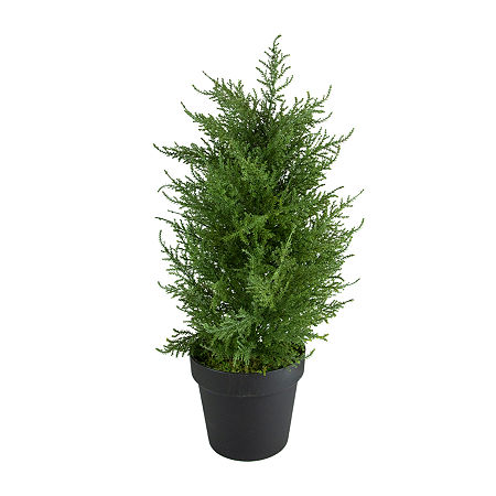 Click here for Northlight 2ft Real Touch Cedar Pine Petite Arborv... prices
