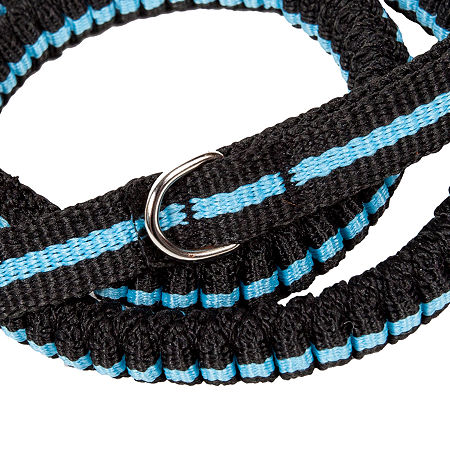 Click here for Pet Life Dog Leash  One Size  Blue prices