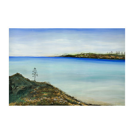 Click here for Lumaprints On A Clear Day Canvas Art  One Size  Bl... prices