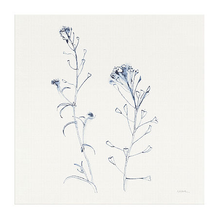 Click here for Lumaprints Shepherds Purse Stems I Blue Canvas Art... prices