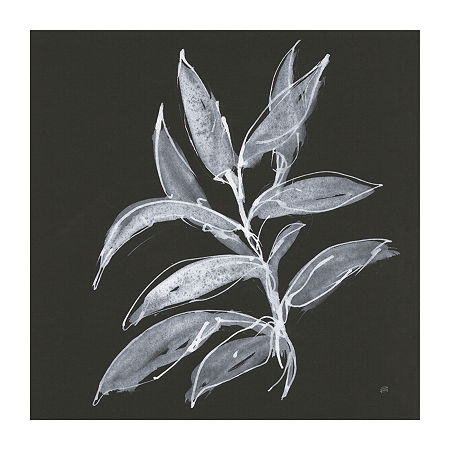 Click here for Lumaprints Branch Iv Canvas Art  One Size  Black prices