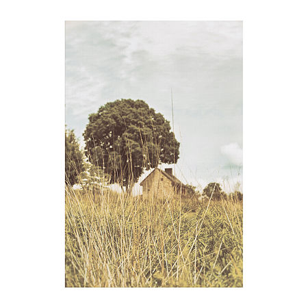 Click here for Lumaprints Grass And Sky Light Canvas Art  One Siz... prices