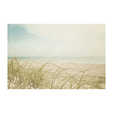 Click here for Lumaprints Beach Grass V Light Canvas Art  One Siz... prices