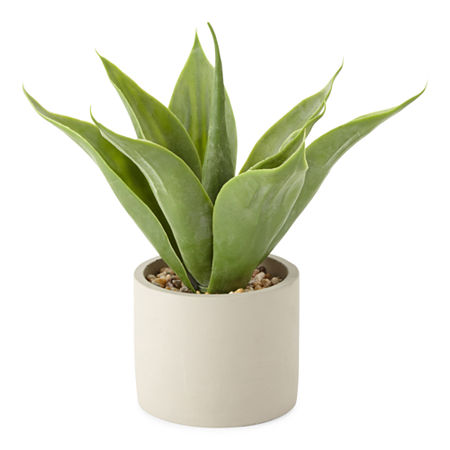 Click here for Distant Lands 13 Agave Artificial Plant  One Size... prices