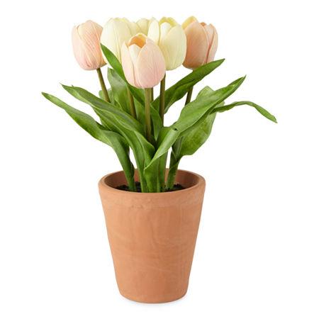 Click here for Linden Street 13 Tulip Floral Arrangement  One Siz... prices