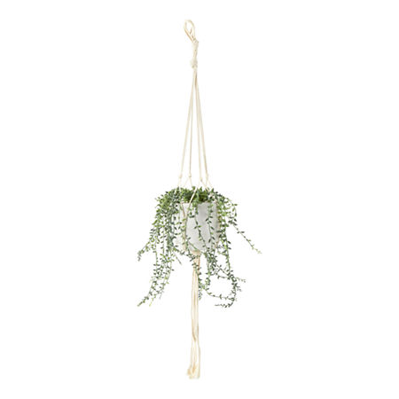 Click here for Distant Lands Hanging String Of Pearls Artificial... prices