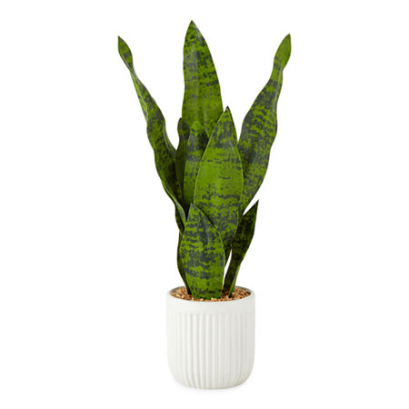 Linden Street 21 Snake Artificial Plant  One Size  Green