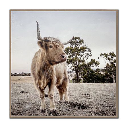 Click here for Streamline Art Countryside Highland Framed Canvas... prices