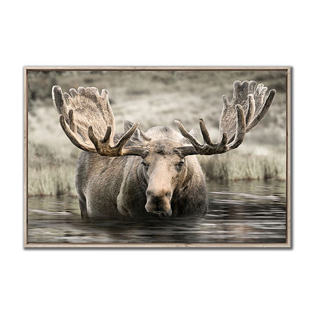 Click here for Streamline Art Moose Hot Springs Framed Canvas Art... prices