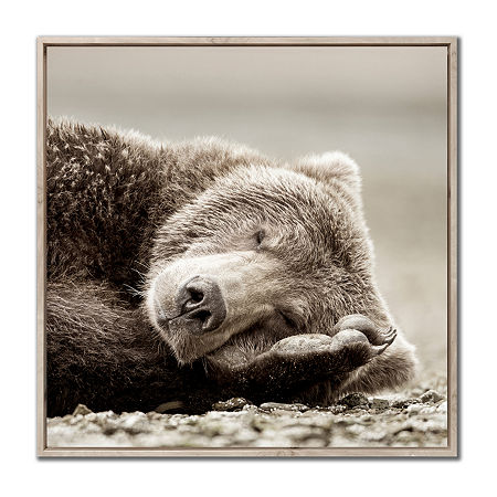 Click here for Streamline Art Sleeping Bear Framed Canvas Art  On... prices