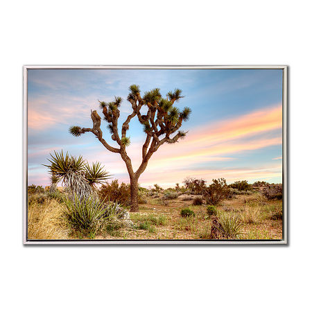 Click here for Streamline Art Joshua Tree Sunrise Framed Canvas A... prices