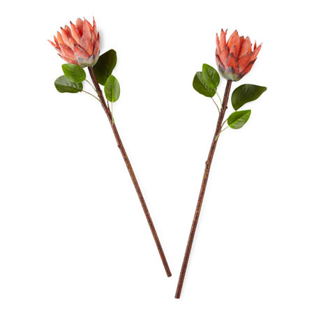 Click here for Distant Lands 26 Red Protea 2-pc. Vase Filler  One... prices
