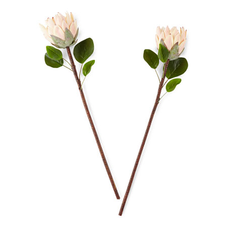 Click here for Distant Lands 26 Pink Protea 2-pc. Vase Filler  On... prices