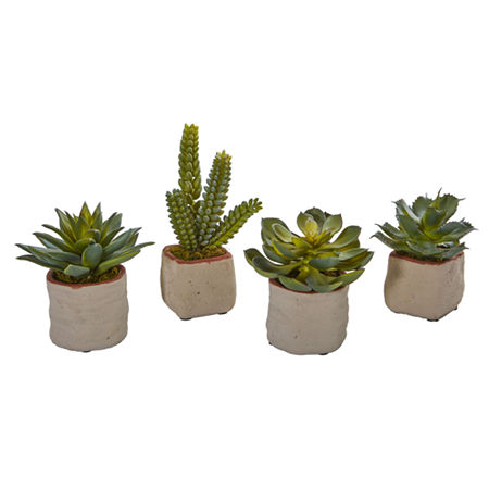 Click here for Mixed Succulent Artificial Plant (Set of 4)  One S... prices