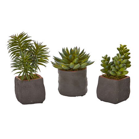 Nearly Natural Trio of Artificial Succulent Plants  Set of 3 - Green/brown