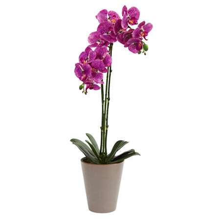 Click here for 24â Speckled Phalaenopsis Orchid Artificial Arra... prices