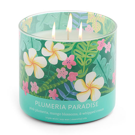 Click here for Distant Lands 14oz Plumeria Paradise 3-Wick Scente... prices