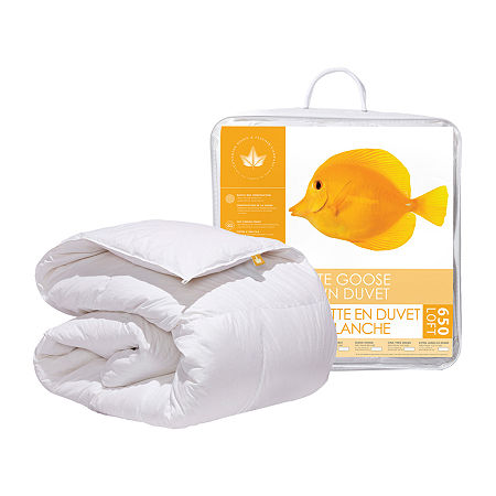Click here for Canadian Down & Feather Company 650 Loft Goose Dow... prices