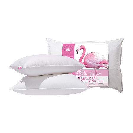 Click here for Canadian Down & Feather Company Down 2-Pack Medium... prices