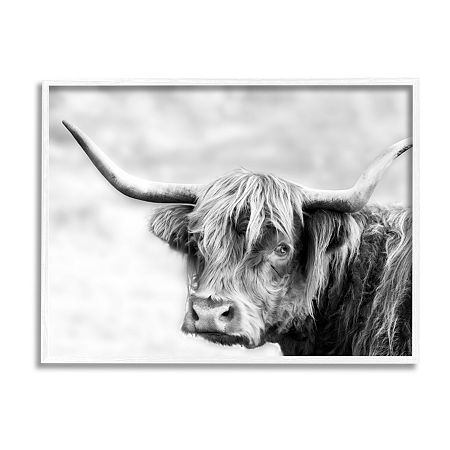 Click here for Stupell Industries Bold Country Cattle Photography... prices