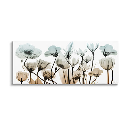 Click here for Stupell Industries Mixed X-Ray Flowers Canvas Art... prices