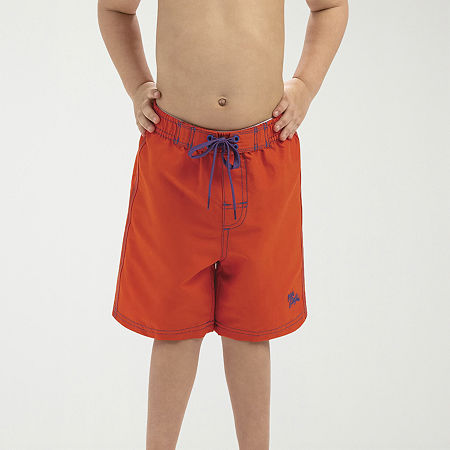 Click here for Dolfin Toddler Boys Quick Dry Swim Shorts  3t  Ora... prices