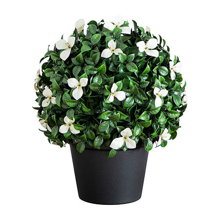 Click here for Nearly Natural 15 Boxwood Gardenia Artificial Plan... prices