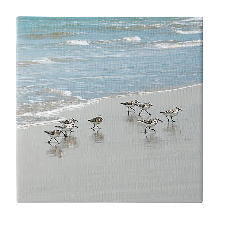 Click here for Stupell Industries Sandpipers Flock Sandy Beach Sh... prices