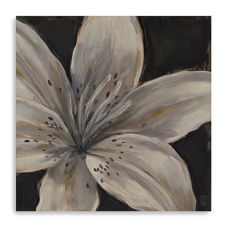 Click here for Botanic Sketchbook IV Giclee Canvas Art  One Size... prices