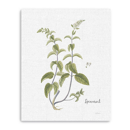 Click here for Cottage Herbs IV Giclee Canvas Art  One Size  Whit... prices