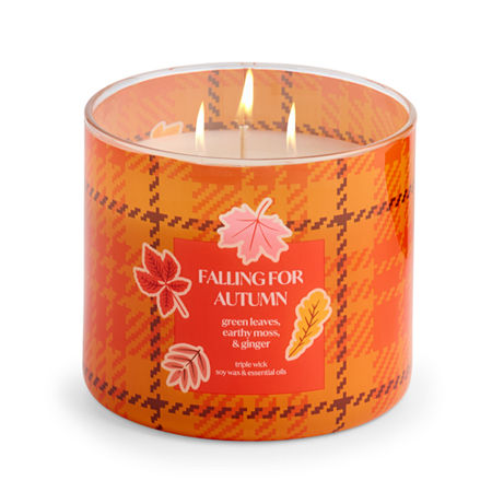 Click here for Distant Lands Falling For Autumn 3-Wick Scented Ja... prices