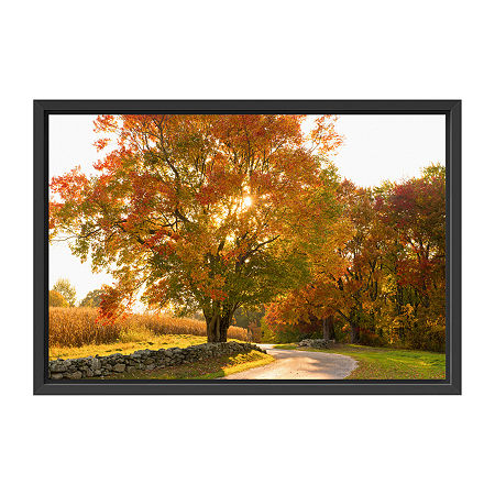 Click here for Lumaprints Maple Tree Drive Framed Canvas Art  One... prices