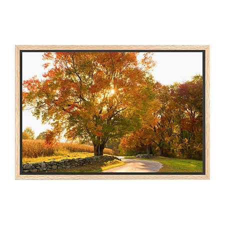 Click here for Lumaprints Maple Tree Drive Framed Canvas Art  One... prices