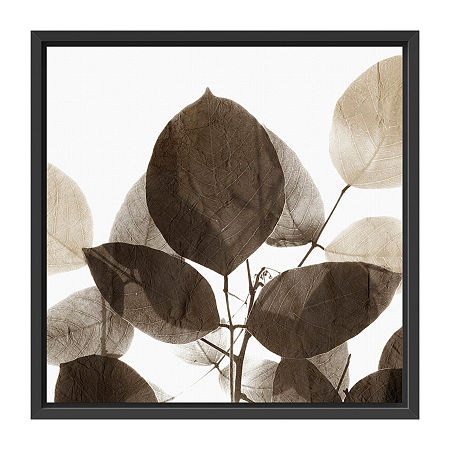 Click here for Lumaprints Chocolate Leaves 1 Framed Canvas Art  O... prices