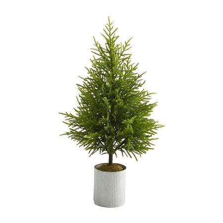 Click here for Nearly Natural Norfolk Island Pine 4 Foot Potted P... prices