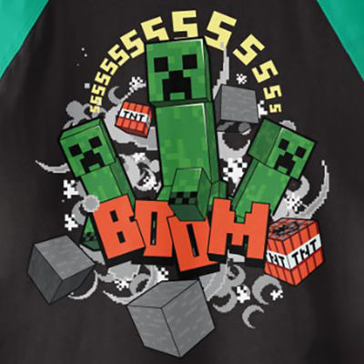 Little & Big Boys Crew Neck Long Sleeve Minecraft Graphic T-Shirt ...
