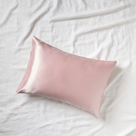 Click here for Shuteye Supply Lavish Dreams Mulberry Silk Pillowc... prices