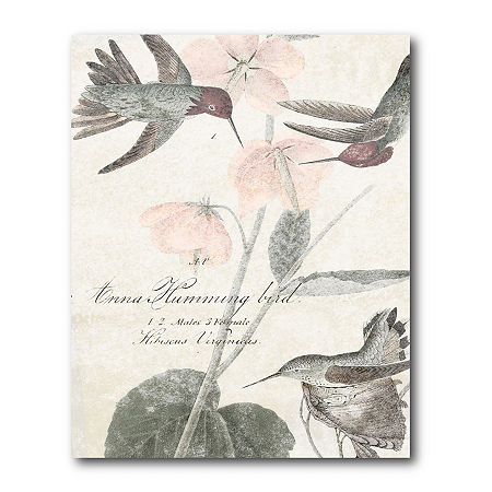 Click here for Courtside Market Soft Hummingbirds Canvas Art  One... prices