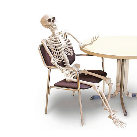 Click here for Unisex Adult 60 Posable Skeleton Costume Accessory... prices