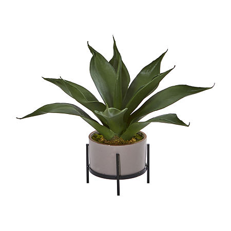 Click here for 14 Agave Succulent in Decorative Planter  One Size... prices