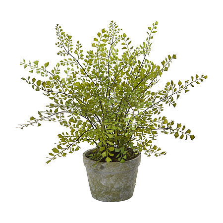 Click here for Maiden Hair Artificial Plant in Decorative Planter... prices