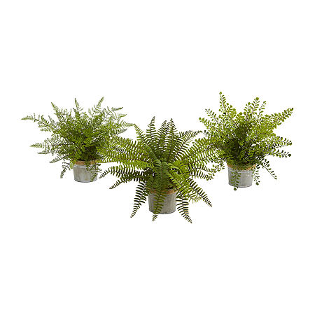Nearly Natural 14 Assorted Ferns with Planter Artificial Plant  Set of 3 - Green
