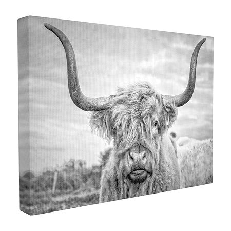 Click here for Stupell Industries Highland Cow Canvas Art  One Si... prices