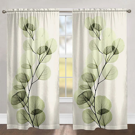 Click here for Laural Home Green X-Ray Of Eucalyptus Leaves Rod P... prices