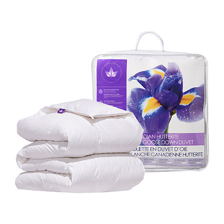 Click here for Canadian Down & Feather Company Hypoallergenic Com... prices