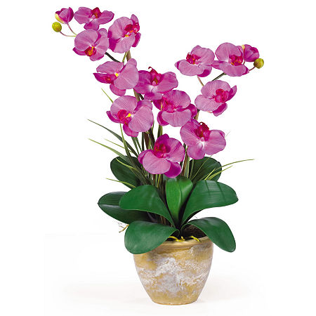 Click here for Nearly Natural Double Phalaenopsis Silk Orchid Flo... prices